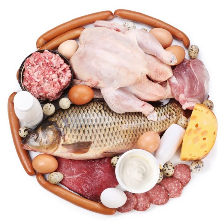 Lista de los 7 Mejores Alimentos Proteicos que debes Saber